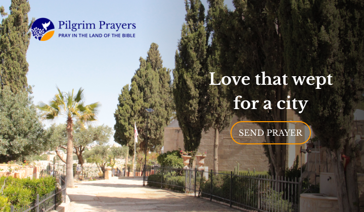 Jesus who wept at Jerusalem looking at the Mount of Olives